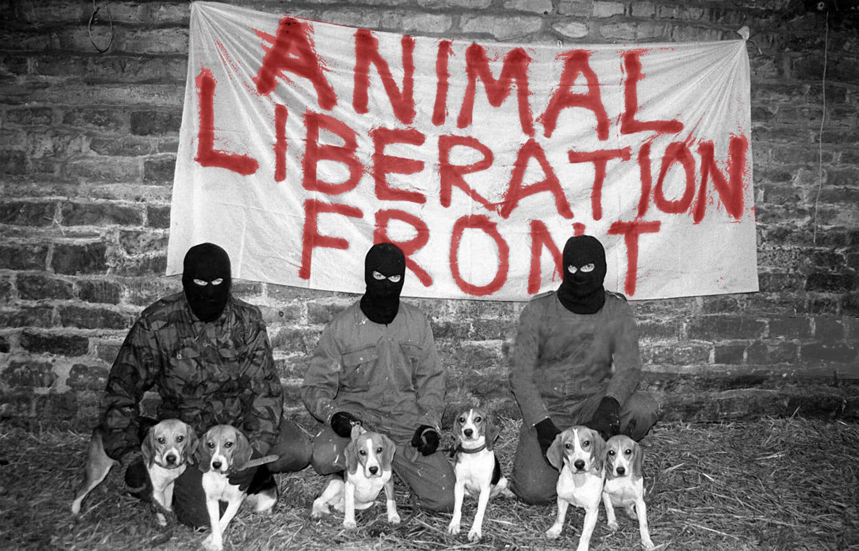 Anarcoveganismo: os animais e a revolução - Patos à Esquerda